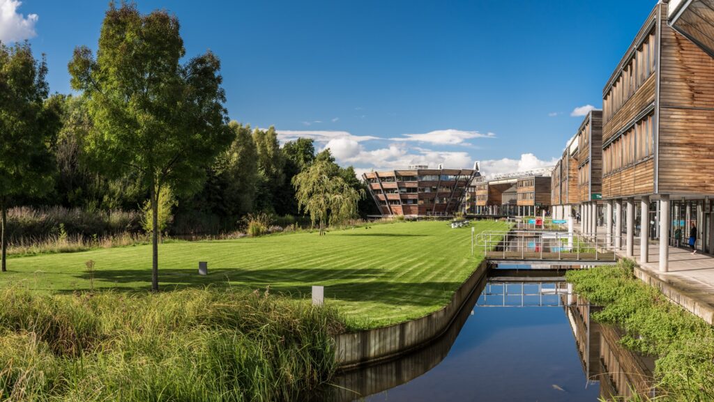 How do our sustainable business practices work towards making a ...