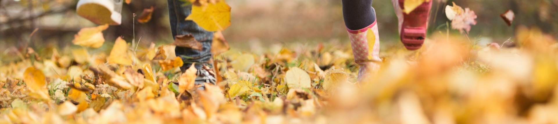 A fun filled family October half term in Nottingham | Nottingham Venues